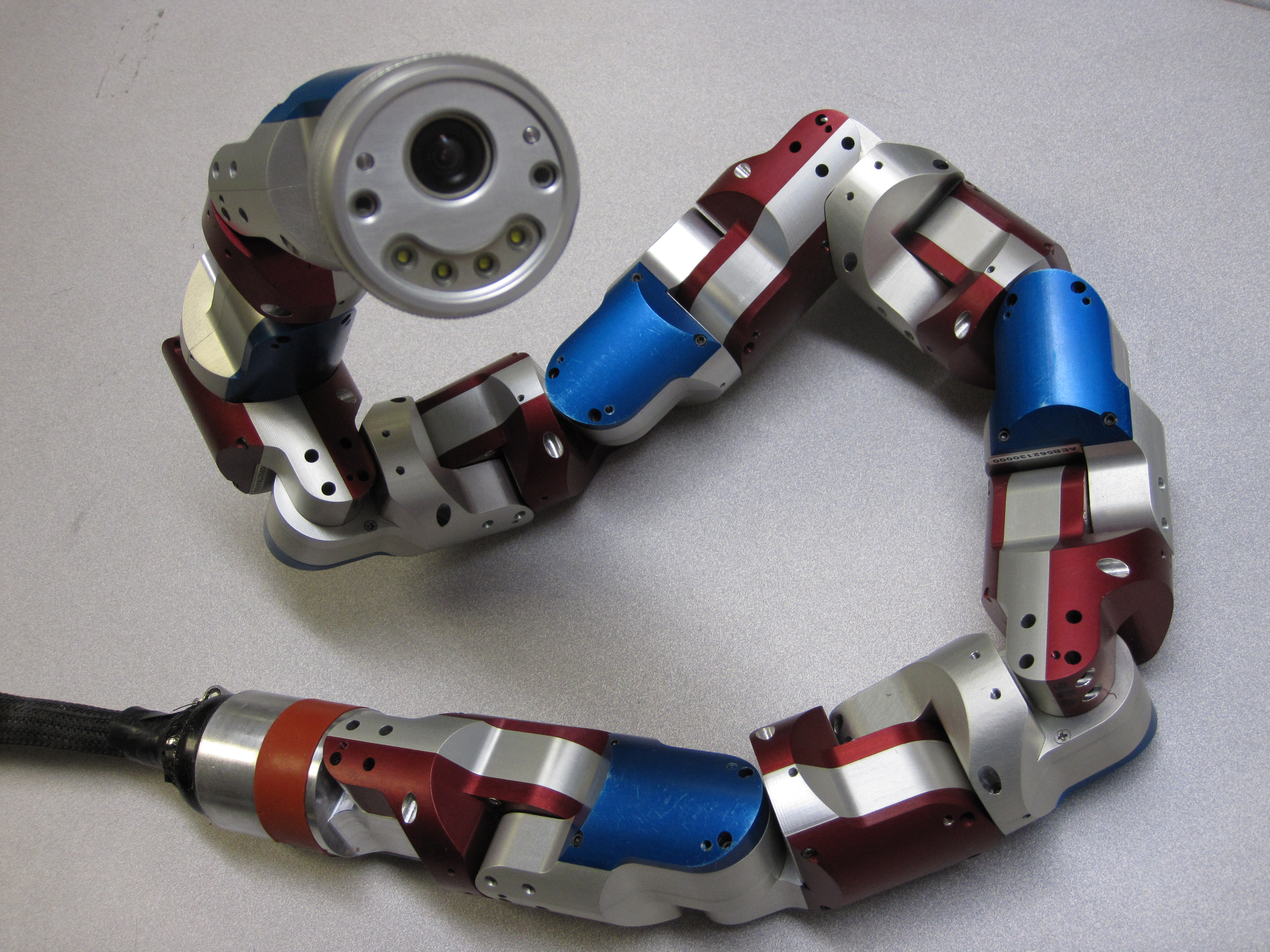 Snake Robots – Kris Borer